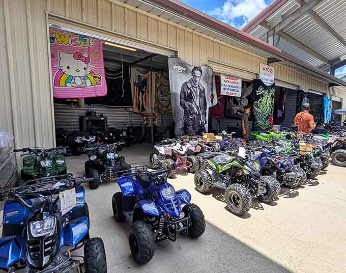 The kids' ride selection here rivals some actual amusement parks, minus the overpriced admission and questionable carnival food.