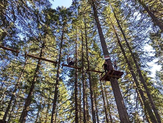 The treetop course winds through the canopy, proving that the best views require a little courage and decent grip strength.