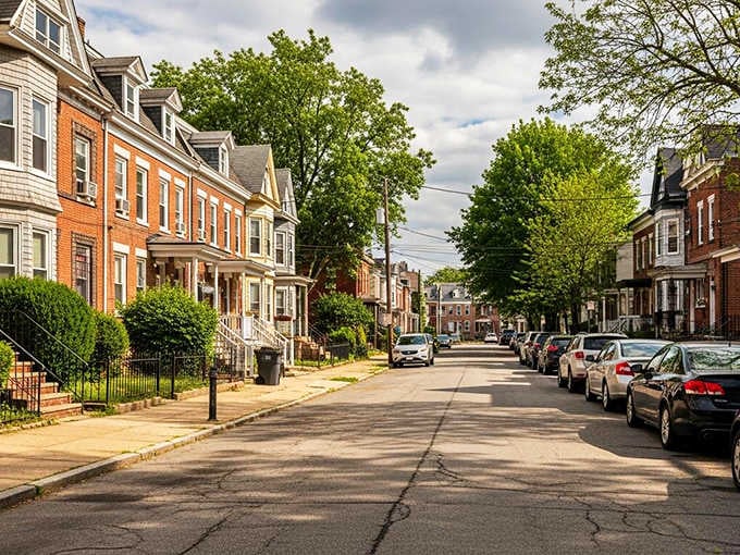 Tree-lined residential blocks showcase the kind of neighborhood where people actually know each other's names still.
