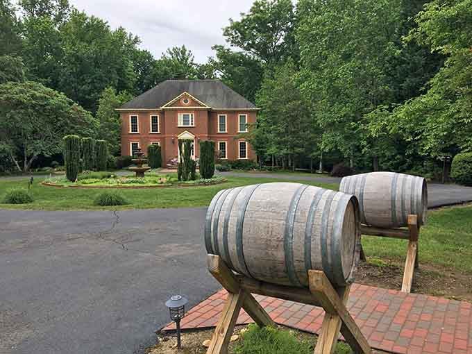 Wine barrels greeting you at the entrance, because subtlety is overrated when you're about to taste something spectacular.