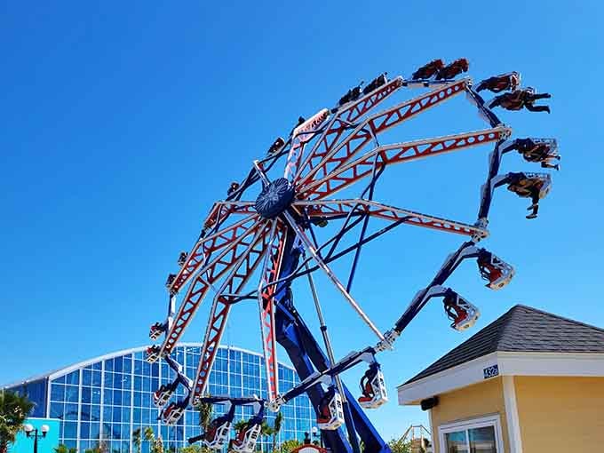 That Ferris wheel stands tall enough to give you a bird's-eye view of all the rides you're too chicken to try.