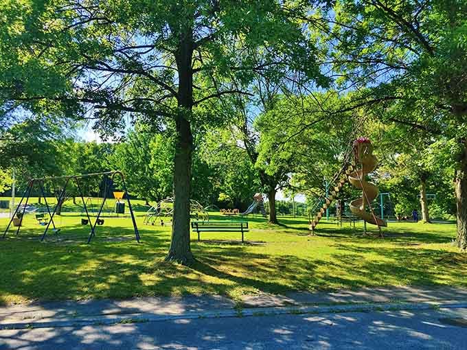 Frear Park's playgrounds and shade trees create the perfect escape for families seeking outdoor adventures.