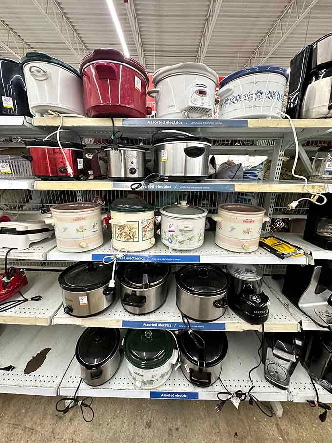 Slow cookers and rice makers lined up like kitchen soldiers, ready to make weeknight dinners actually manageable again.