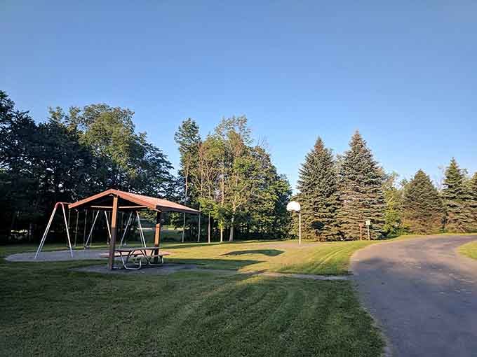 Parks with actual trees and grass, not just concrete, remind you what outdoor space should really mean.