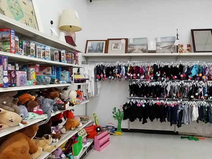 Stuffed animals and toys proving that childhood joy doesn't require a second mortgage or credit card debt.