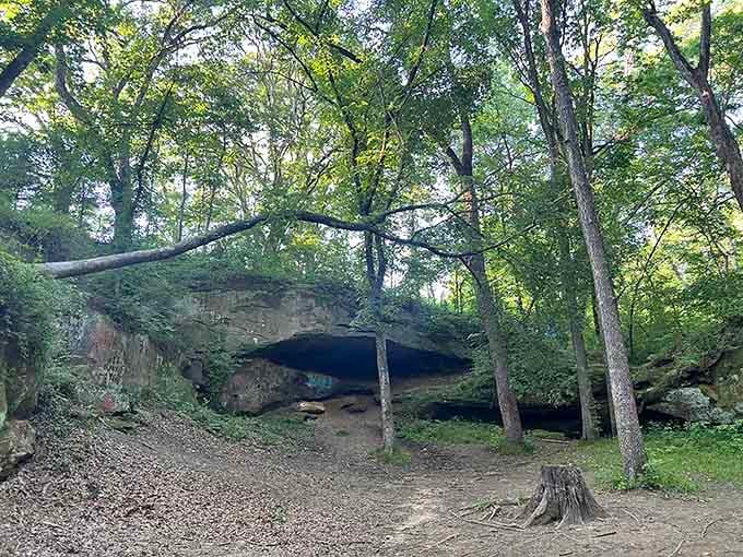 Cave Hollow Park's natural rock shelter beats any man-made structure for pure geological coolness and shade.