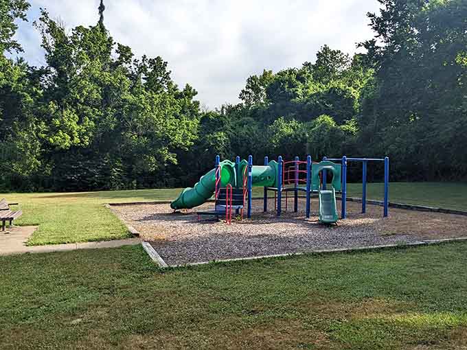 Modern playgrounds meet old-growth forest, proving kids' entertainment doesn't require screens or admission fees.