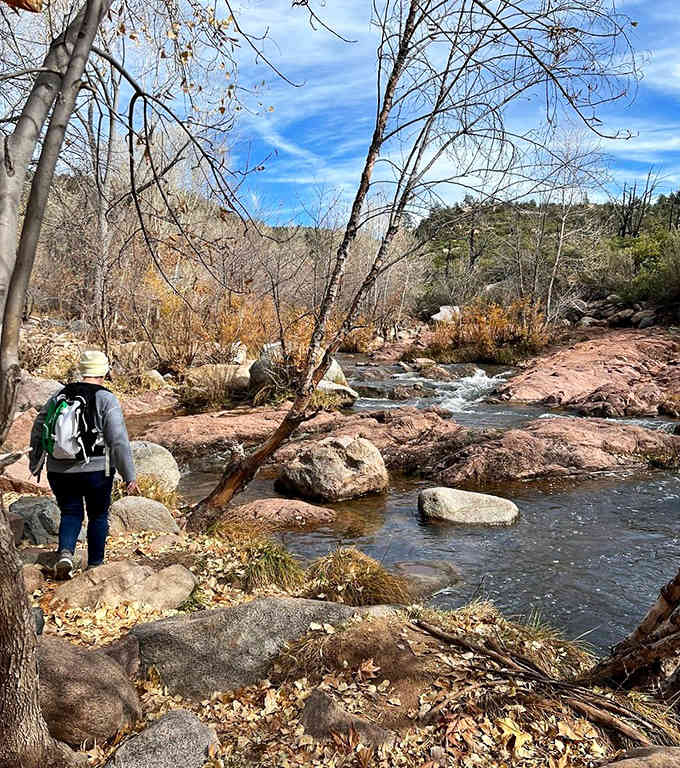 One hiker pauses where creek meets trail, discovering why some journeys are worth getting your boots wet.