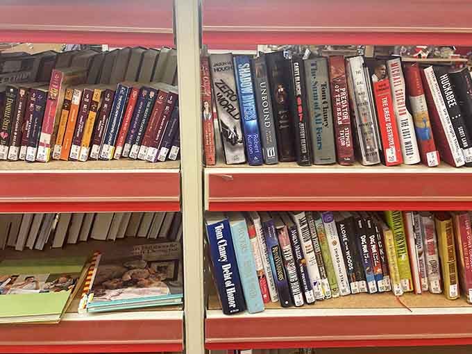 A book lover's paradise where literary adventures await on shelves organized better than most libraries you've visited.