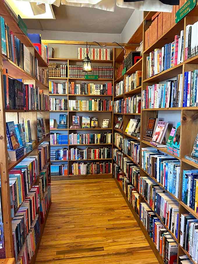 These narrow aisles lined with endless possibilities are what book lovers see when they dream at night.