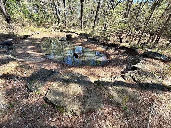 This tranquil pond sits waiting like a mirror that forgot to reflect anything but pure serenity and sky.