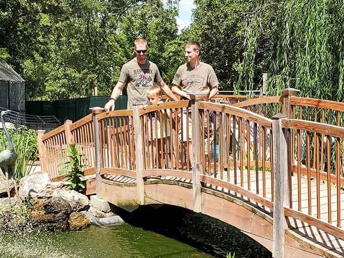 This charming bridge over tranquil waters adds a touch of serenity to your wild animal adventure experience.