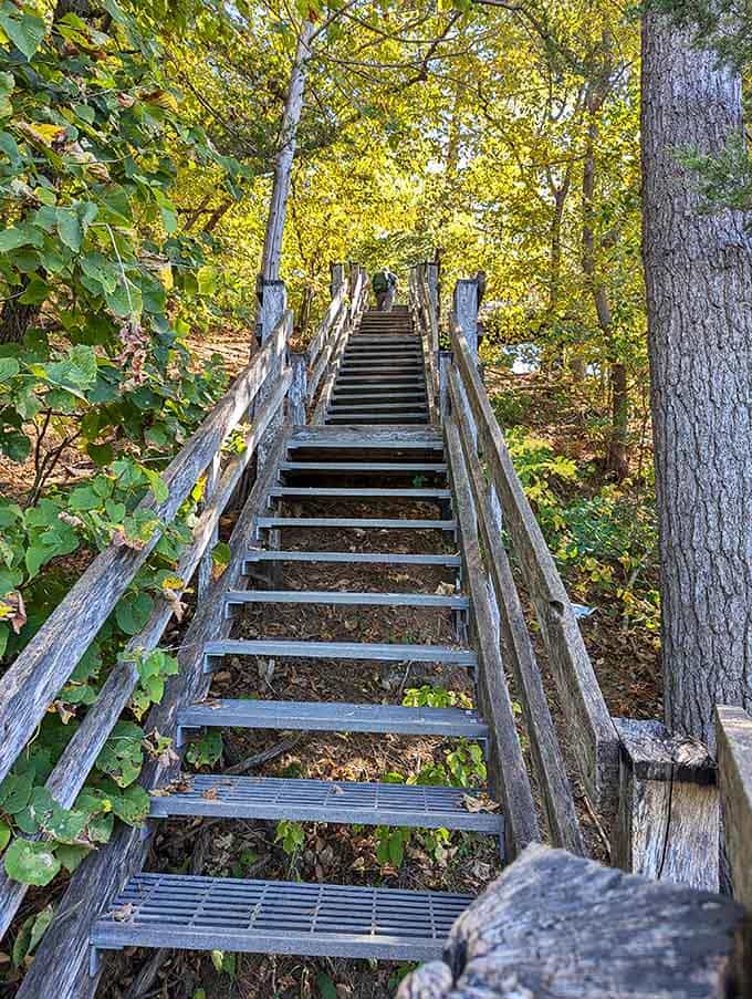 Every great waterfall adventure begins with stairs that make you question your fitness level from the 1980s.