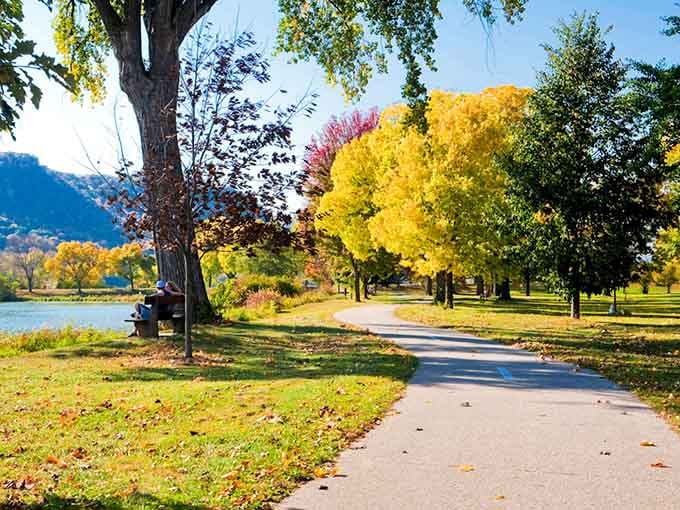 Winona West Lake Park offers peaceful paths where nature does all the talking for you.