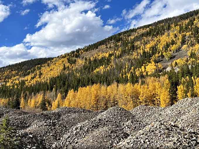 Golden aspens blanket the mountainside in autumn's finest work, painting slopes with color that cameras barely capture adequately.