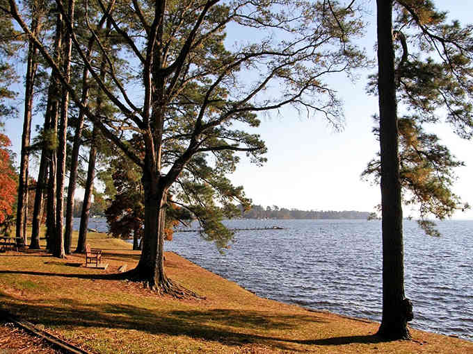 Bath's waterfront whispers stories of centuries past, where towering pines frame peaceful waters like nature's own picture frame.