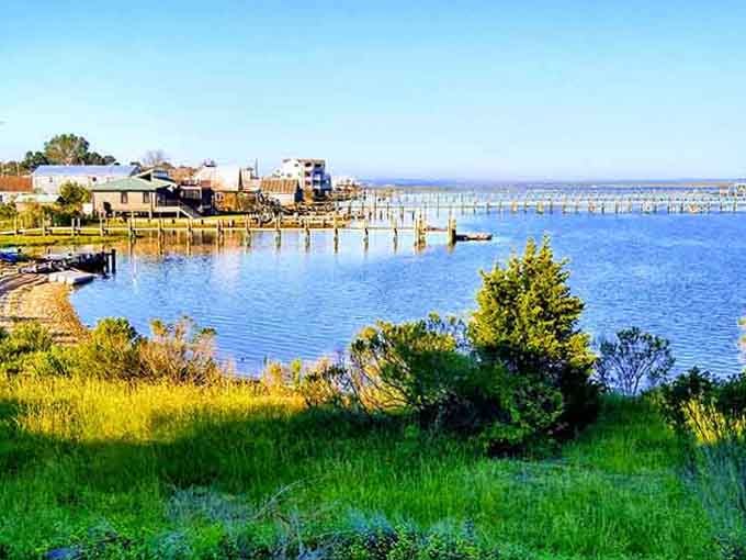 Lush greenery frames the tranquil harbor like nature's own picture frame, perfectly composed and utterly inviting.