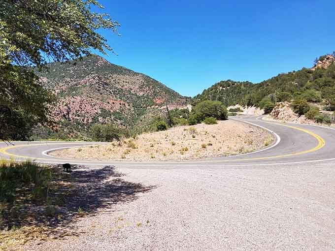 Sweeping curves through mountain terrain remind you that the best journeys aren't always about reaching the destination quickly.