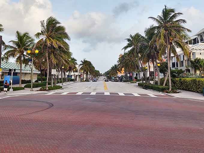 Those palm trees lining Delray Beach streets sway like nature's own welcome committee on permanent duty.