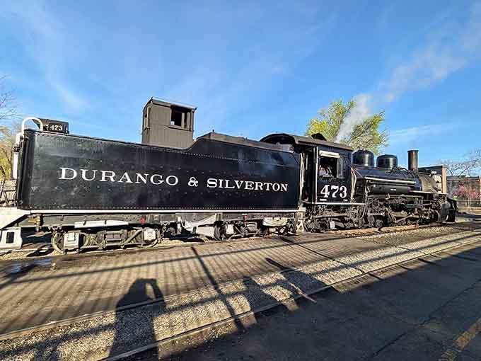 This powerful black steam locomotive bears the Durango & Silverton name with pride, ready to conquer another mountain pass today.