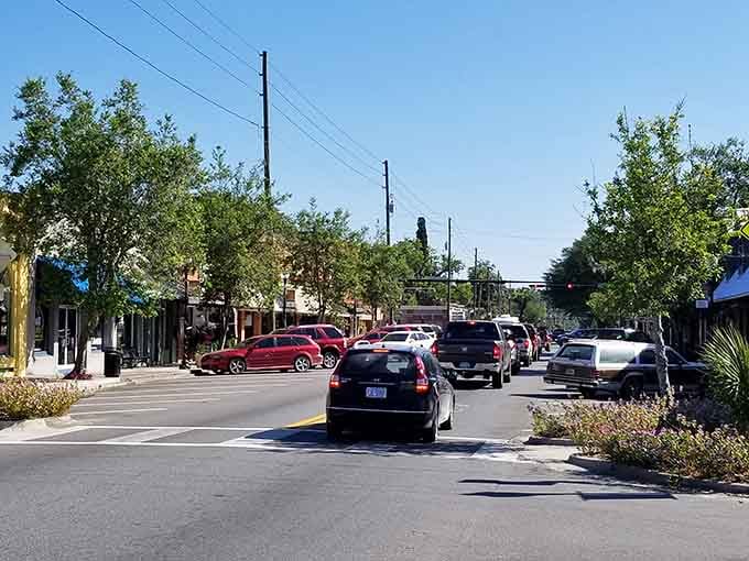 High Springs' tree-canopied roads create natural tunnels of green that keep you cool even on the hottest summer days.