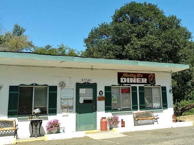 Tucked under towering trees, this white cottage-style diner looks like something from a simpler, sweeter era of roadside dining.