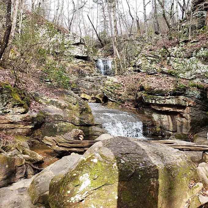 Moss-covered rocks and trickling water create a scene so peaceful, even your worries forget to follow you here.