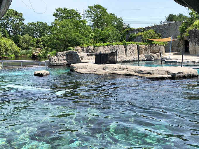 Crystal-clear water reveals rocky formations below the surface, creating an underwater landscape that captivates visitors from the viewing deck.