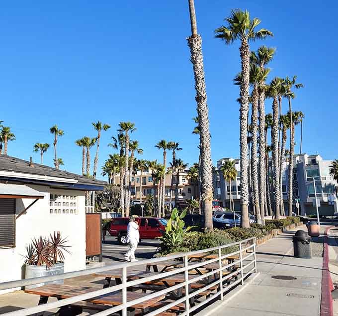 Palm trees sway above outdoor seating where the ocean breeze carries the scent of salt air and possibility.