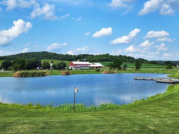 Rolling farmland and mirror-still ponds define Amish Country's peaceful landscape where time moves a bit slower.