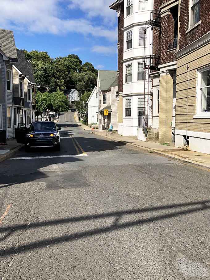 Tree-lined streets slope gently downward past brick buildings that have witnessed generations of neighborhood stories unfold.