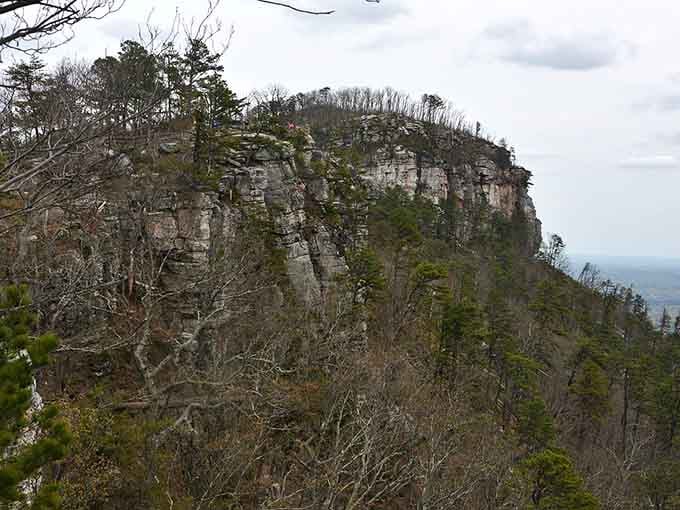 The rugged rock face tells stories millions of years old, weathered but standing proud against mountain winds.