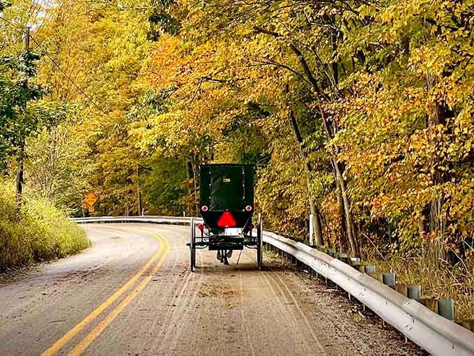 Golden leaves create a tunnel of autumn magic while that buggy navigates curves better than most GPS systems.