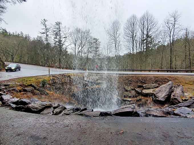 Water cascades right over the roadway, creating nature's own car wash with a spectacular view.