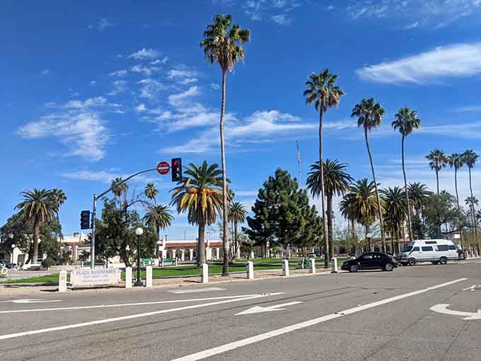 Palm trees swaying against blue skies prove the desert can be surprisingly lush and unexpectedly green.