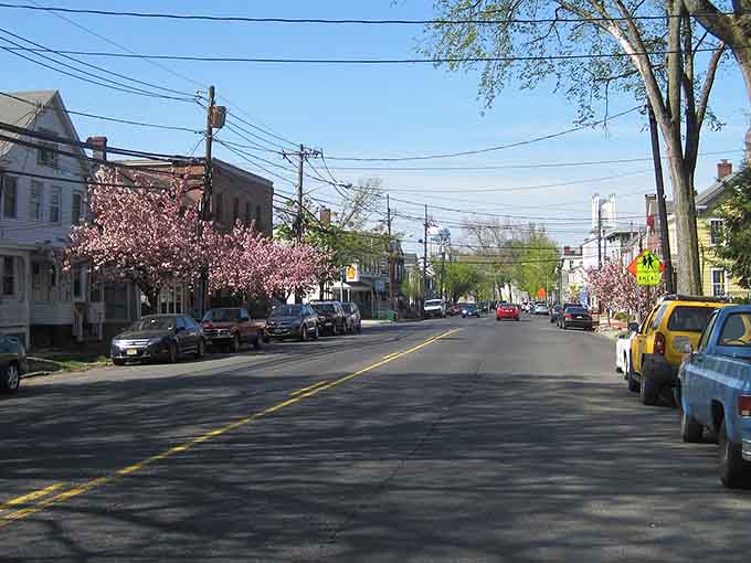 Experience the charm of this historic street, where blooming pink trees and classic architecture create a beautiful, welcoming neighborhood atmosphere.