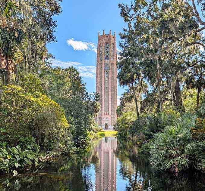 Spanish moss and palm fronds frame the pink marble tower perfectly, creating a scene worthy of any postcard collection.