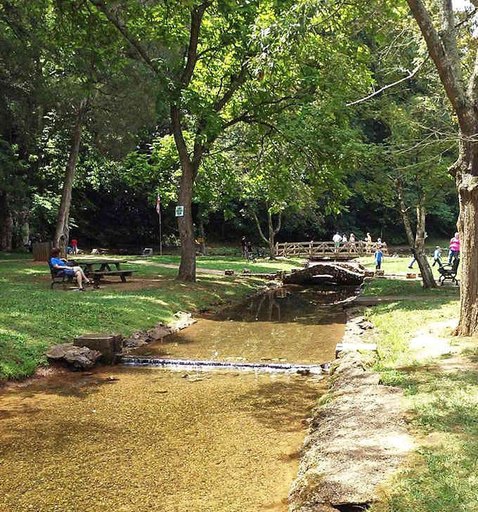 Dappled sunlight filters through ancient trees while a gentle creek meanders past picnic tables in perfect harmony.