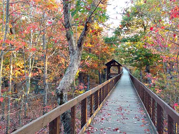 Autumn paints this covered bridge walkway in colors that would make Bob Ross reach for extra brushes.