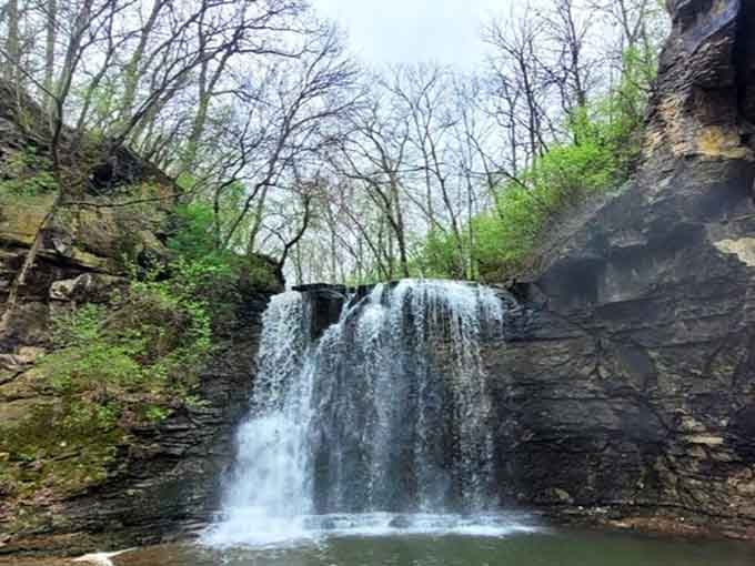 The layered rock face tells geological stories while water writes its own chapter in this peaceful gorge.