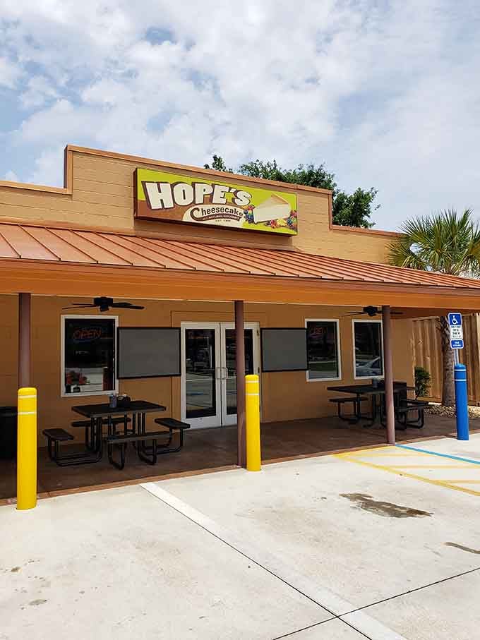 Palm trees and covered seating create the perfect coastal vibe for enjoying slice after slice of dreamy cheesecake.