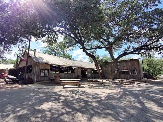 Sunlight filters through those magnificent branches like a scene from "The Waltons," only with better barbecue and live music.