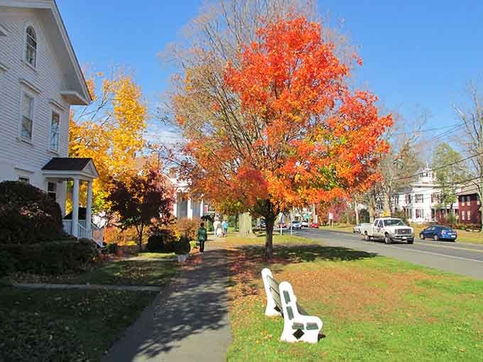 That white bench sits empty because everyone's out exploring without a care, enjoying their incredibly safe community.