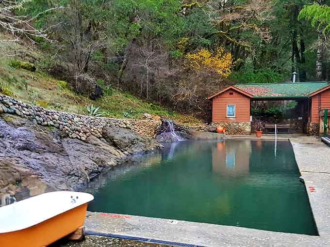 A natural waterfall feeds this forest pool where the only sound you'll hear is pure, blessed silence and birdsong.