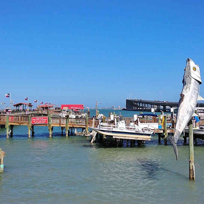 Working docks where the day's catch comes in and the Gulf breeze carries stories of the sea.