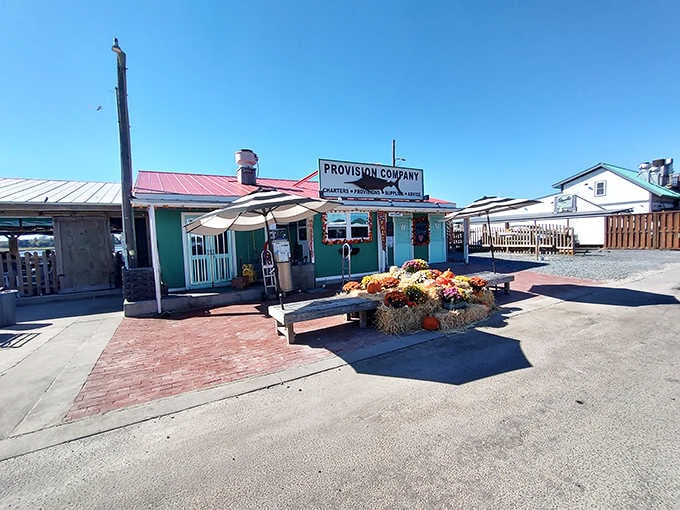 Seasonal decorations add charm to this dockside gem where fresh catches become memorable meals with stunning views.