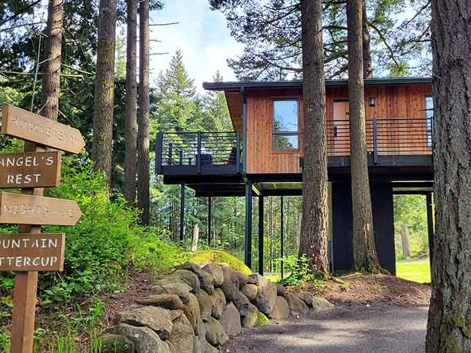 Modern mountain architecture rises on stilts among towering pines&mdash;like a sophisticated bird's nest with spectacular forest views.