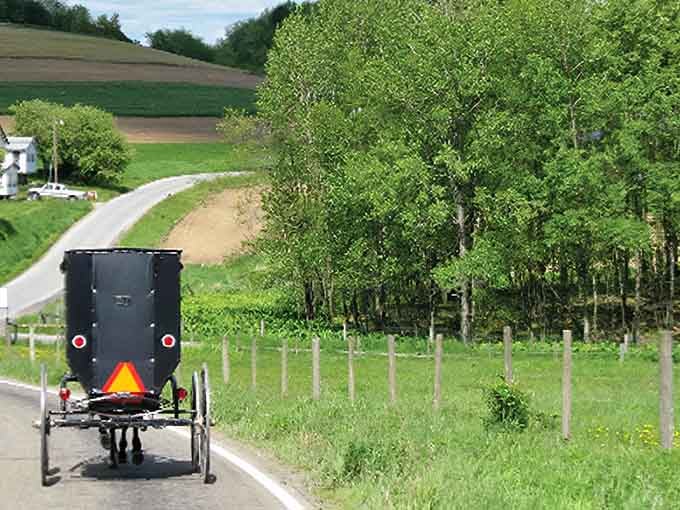Lush green hills roll on forever as the buggy climbs roads that wind through countryside untouched by hurry.