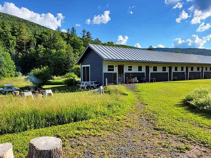That deck overlooks young vineyard rows stretching toward forested peaks&mdash;wine country meets mountain retreat in one peaceful Catskill valley scene.