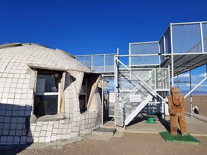 The dome structure and metal framework create the perfect stargazing spot where believers and skeptics alike find wonder.